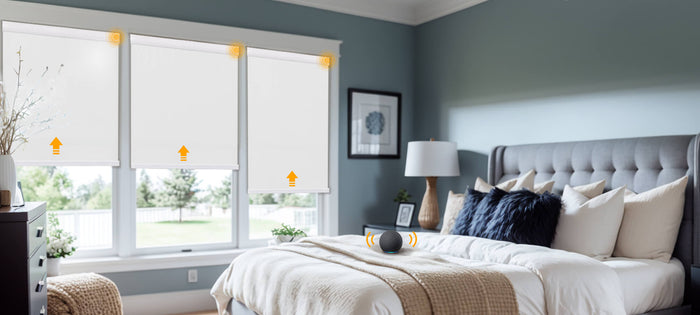 Amazon Alexa Compatible Smart Blinds | Keego Blinds