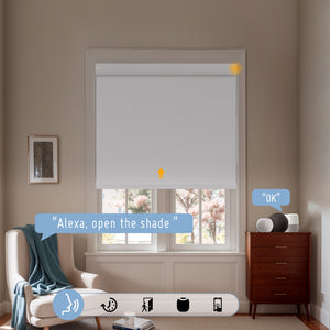 Smart Motorized Roller Shades | Keego Blinds